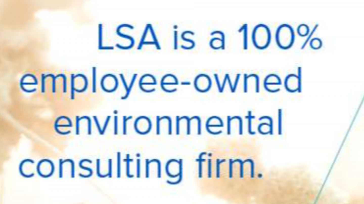 LSA